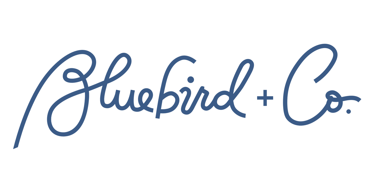 blue bird publishing
